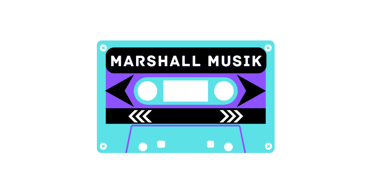 Punk Rock Saves Lives – Page 2 – Marshall Musik Store